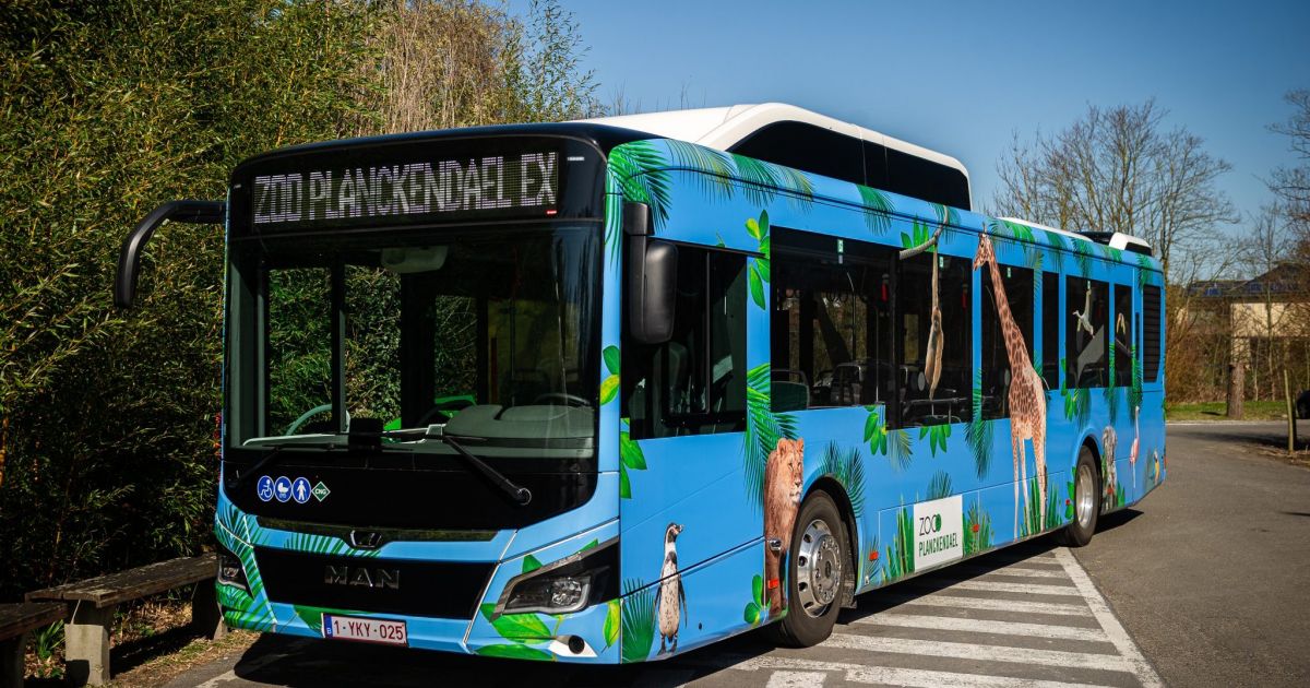De nouveaux contrats pour le Zoo de Planckendael › Hansea - plus grande ...